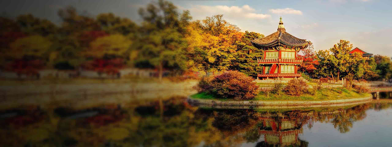 Flights from Auckland (AKL) to Seoul (ICN) | Singapore Airlines